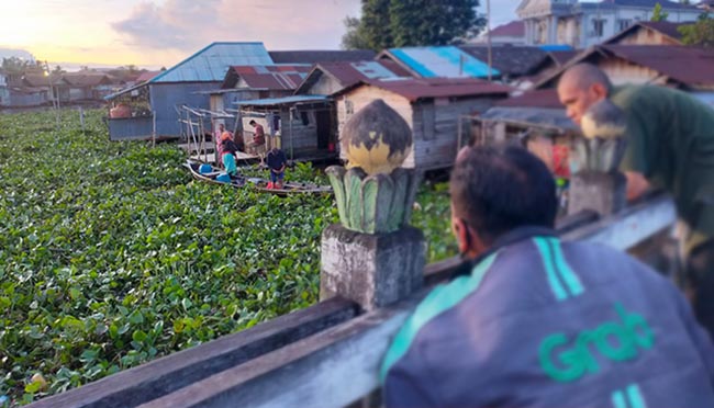 SUNGAI KUIN Diserang Pampangan Eceng Gondok, Seluruh Aliran Sungai ...