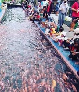 PEMANFAATAN AIR IRIGASI bagi Pembudidaya Ikan, untuk di Kalsel ...